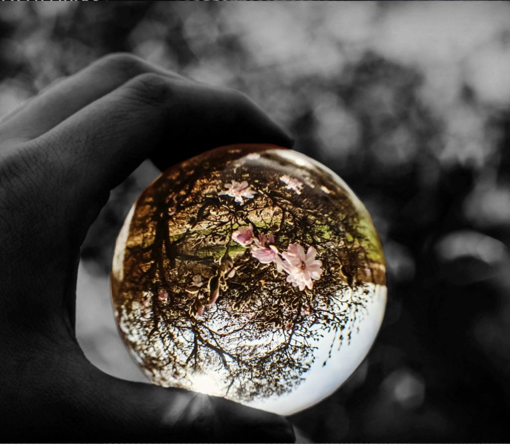 triscon supports various sustainability projects - triscon